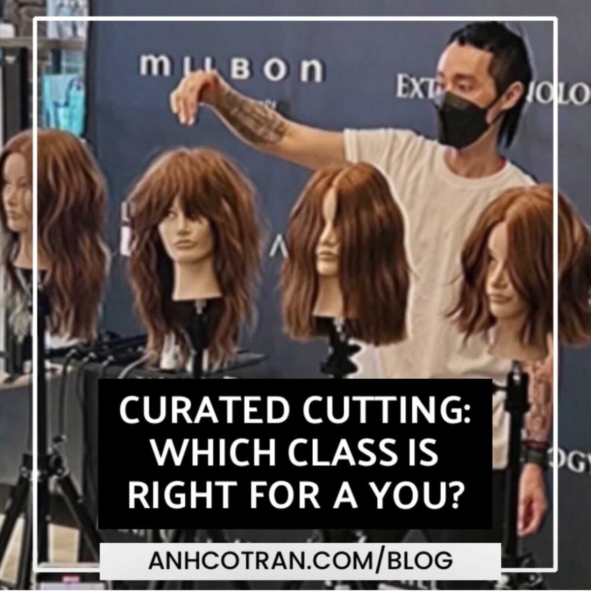CURATED CUTTING: WHICH CLASS IS RIGHT FOR YOU? - Anh Co Tran Curated ...