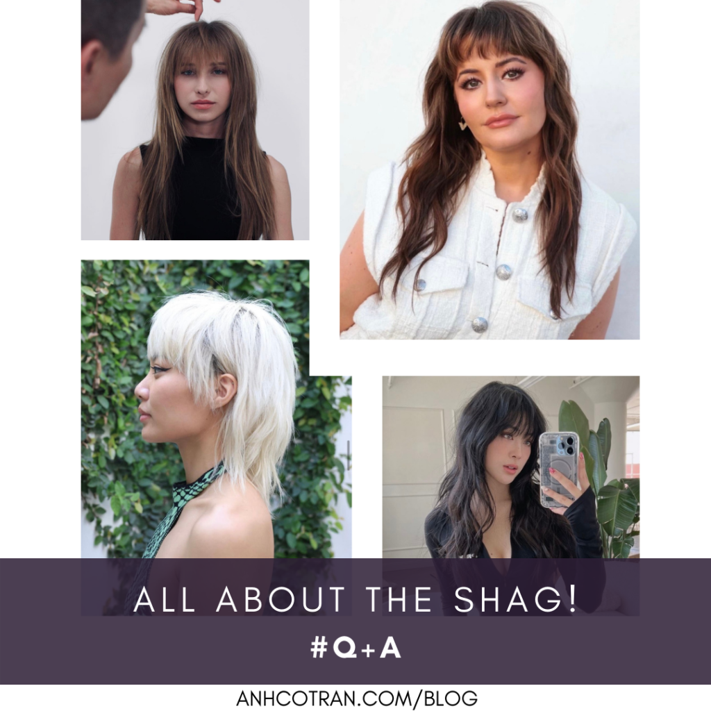 ALL ABOUT THE SHAG! - Anh Co Tran